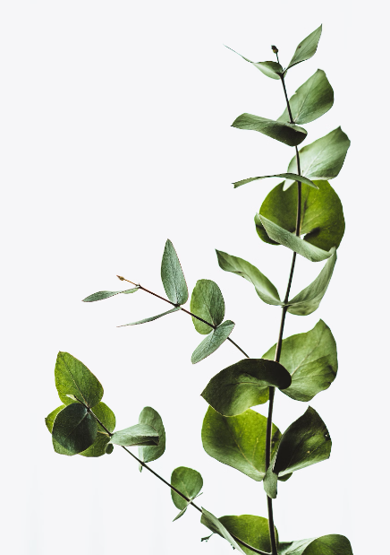 Sustainability | Gough Engineering